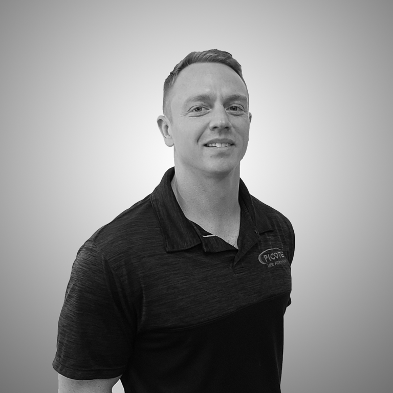 Picote Institute training and technical support